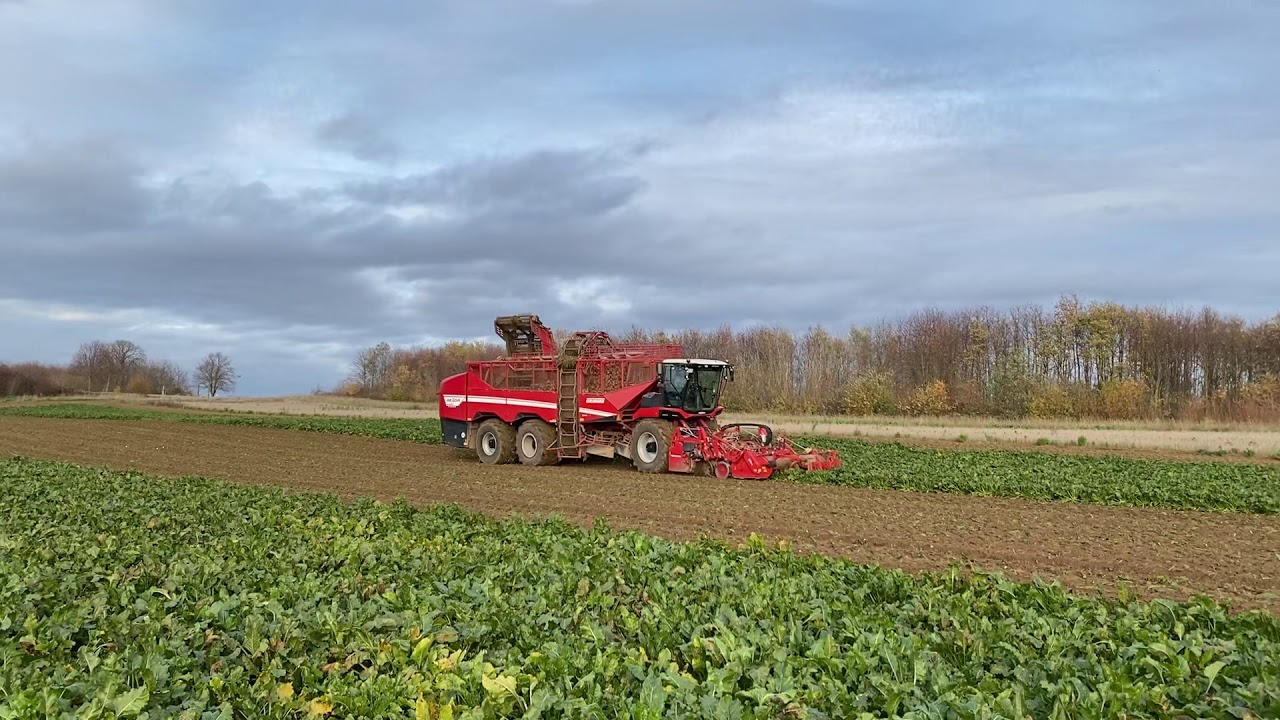 Grimme Rexor 630 Platinum November 2020 - YouTube