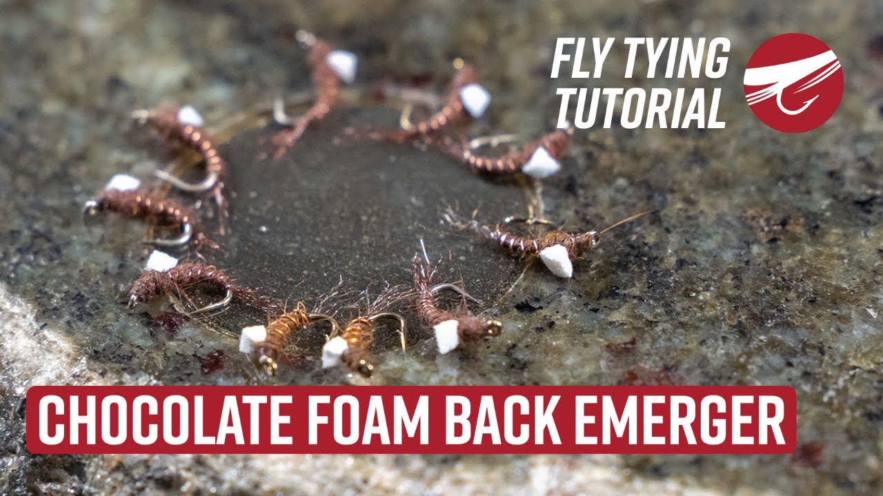 Chocolate Foam Back Emerger | FLY TYING TUTORIAL - YouTube