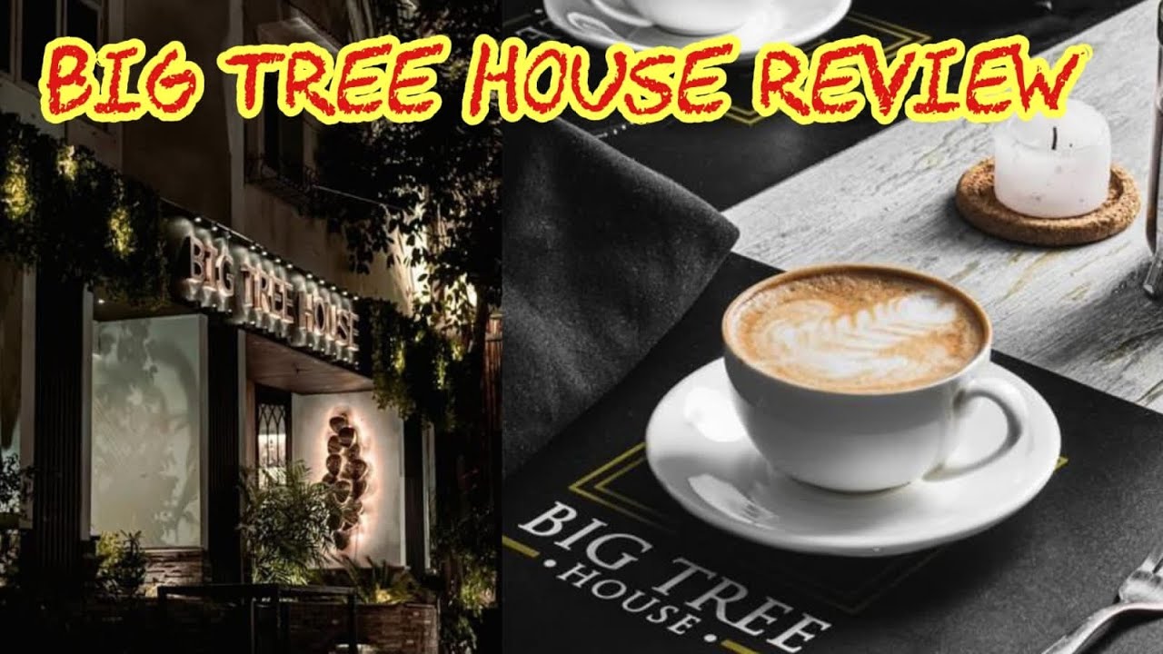 Big Tree House Restaurant Review || Honest Review || Suhana ki duniya ...
