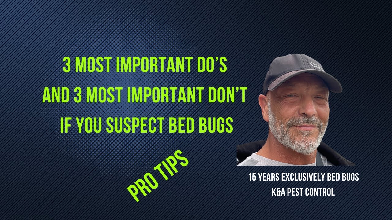 Debunking Bed Bug Myths What You Need To Know - YouTube