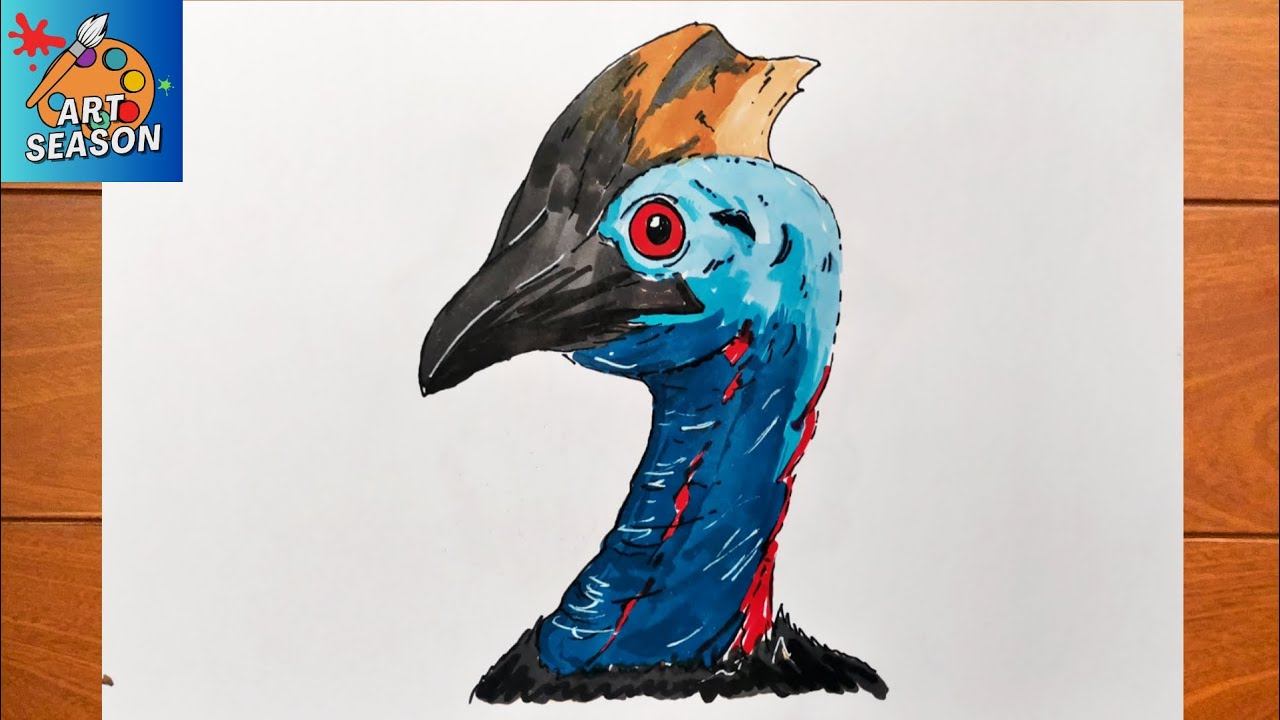 How to Draw a Cassowary Head Step by Step - YouTube