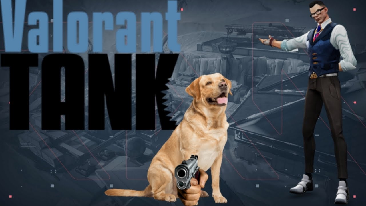 Valorant: Next Shark Tank contestant - YouTube