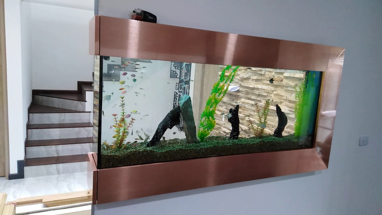 Acuario de pared empotrado - YouTube