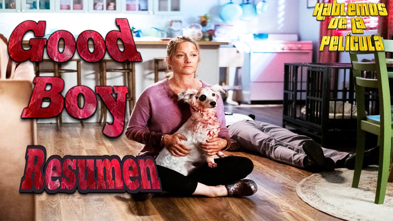 Buen Chico "Good Boy" //RESUMEN - YouTube