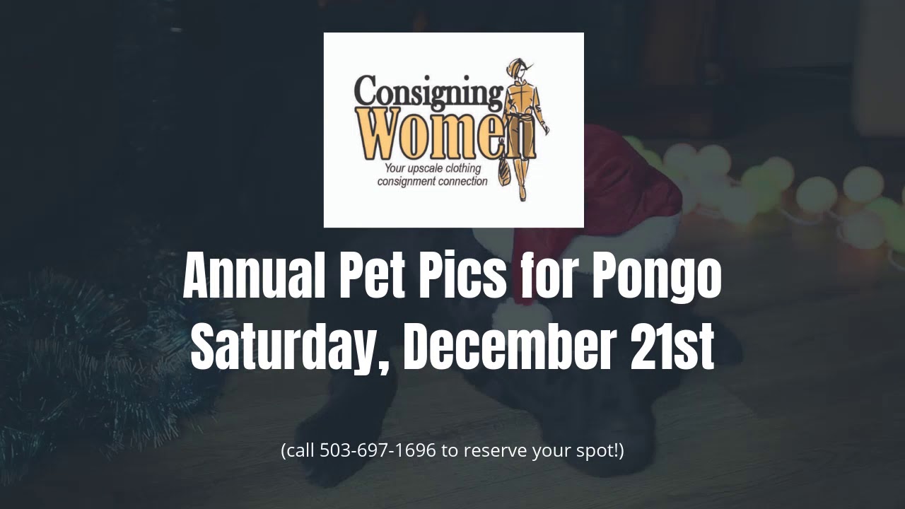 Santa is coming - it's Pet Pics for Pongo Dec 21st - YouTube