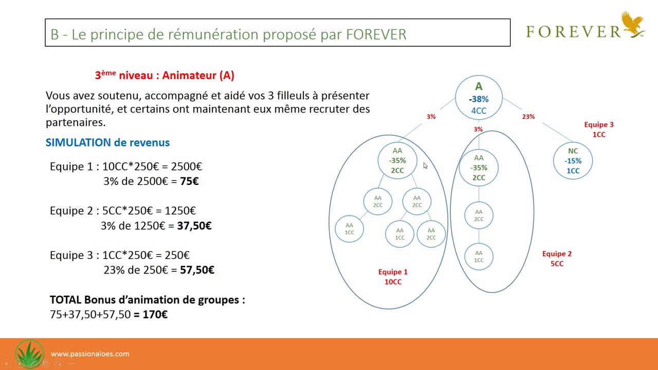 Forever Plan de rémunération - niveau Animateur - YouTube