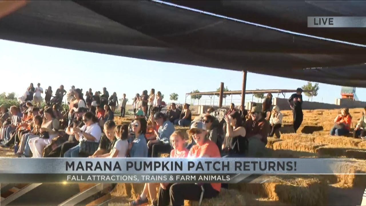 Marana Pumpkin Patch returns with fall attractions, trains and farm ...