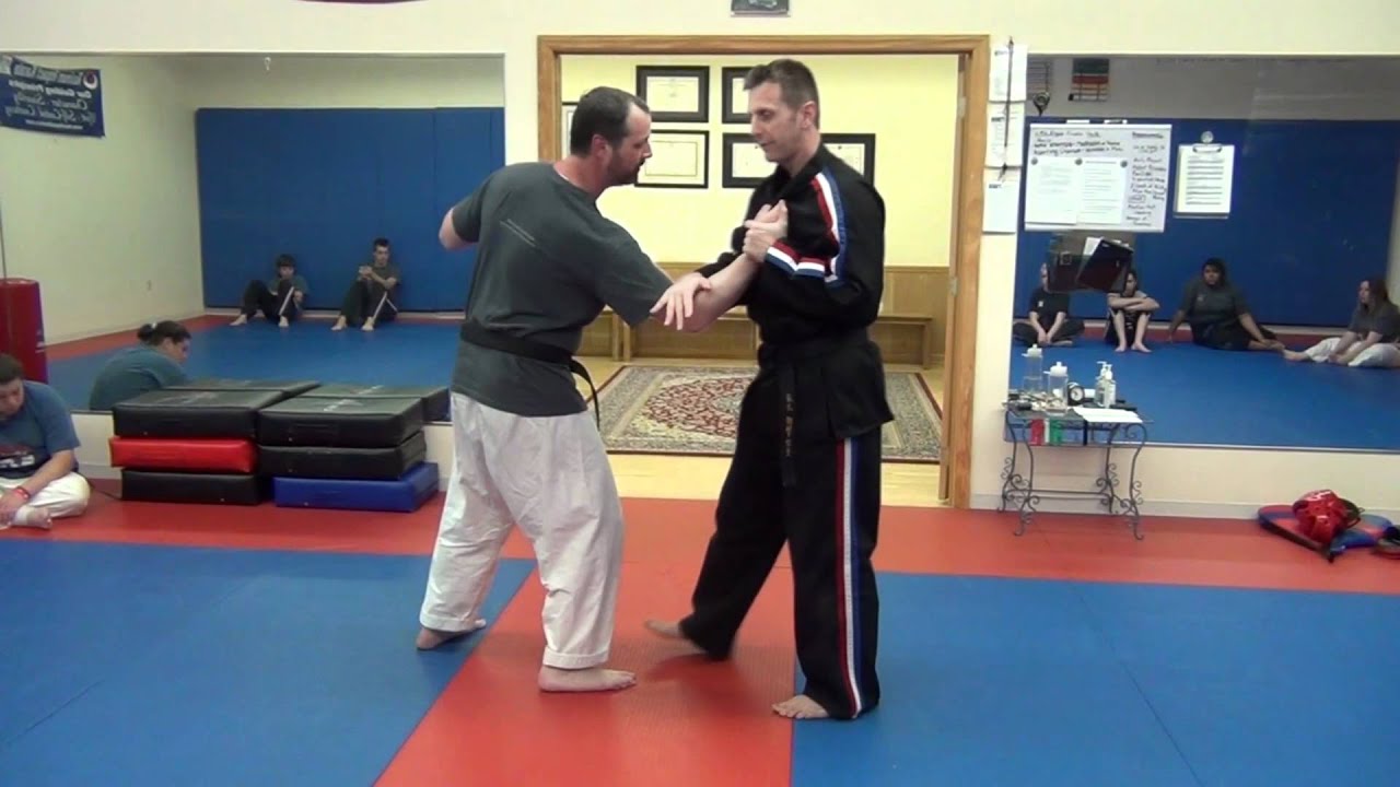 Funakoshi Karate Takedown Tsubamegaeshi / V-turning Swallow - Non ...