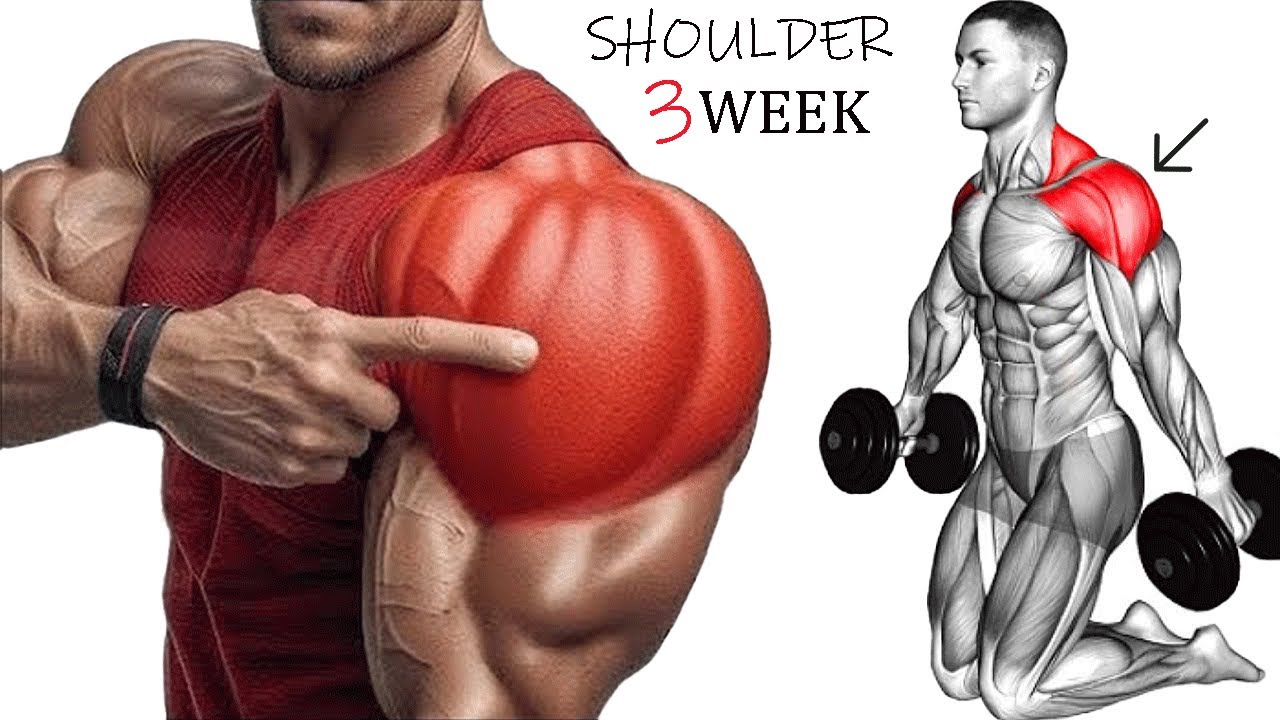 “Insane Shoulder Transformation in 21 Days!” 💪 - YouTube