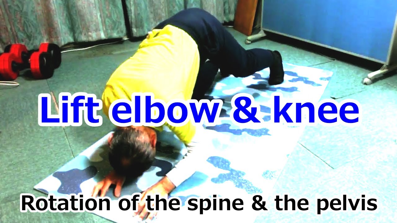 Lift elbow and the homolateral knee on all 4 - YouTube