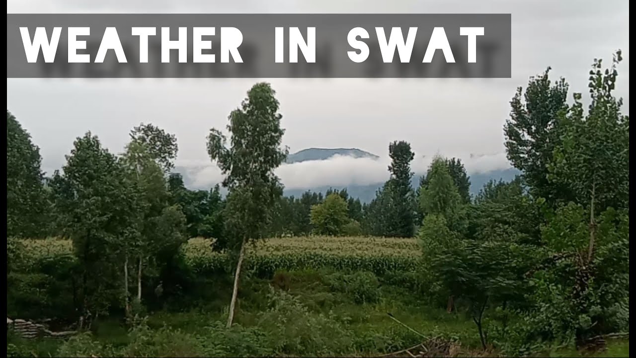 Weather in swat #clouds #floodinswat - YouTube