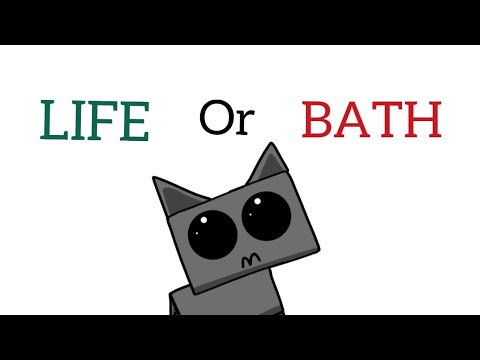 life or bath for dry cat - YouTube