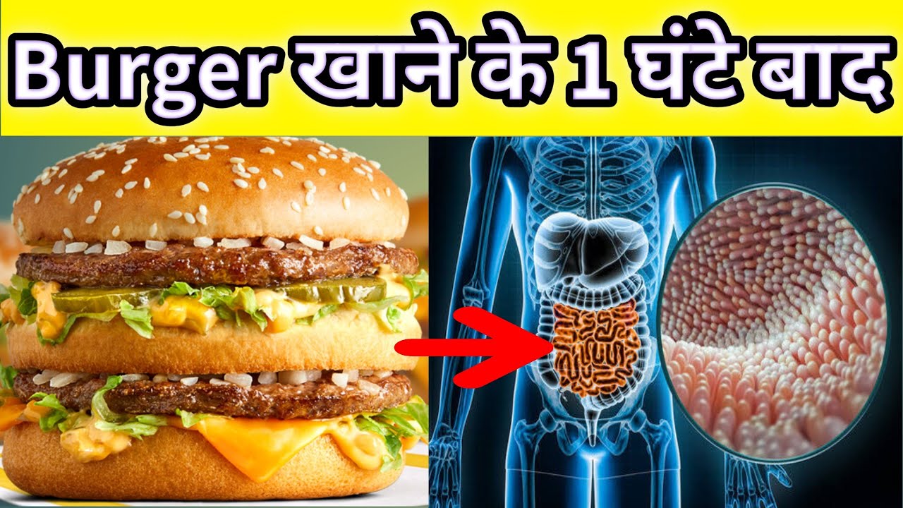 What Happens to Your Body After Eating a Burger? | Burger Side Effects ...