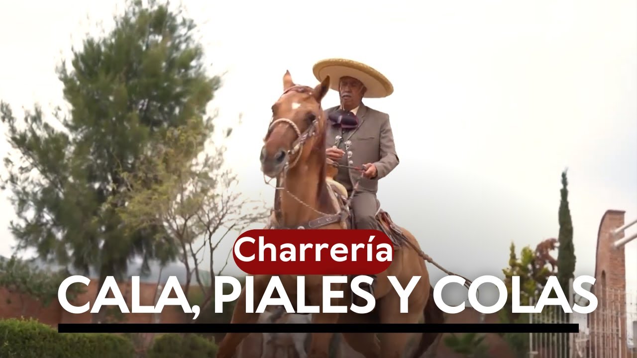Charrería, valor de nuestra tierra / Episodio 1 / Cala, Piales y Colas ...