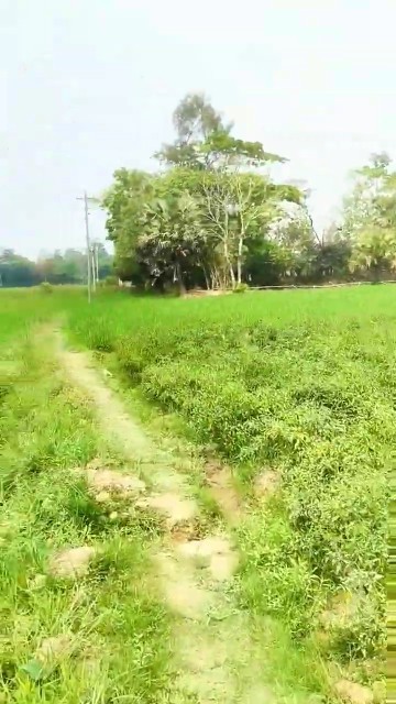 Green village beauty. #village #trendingshorts #viralshort #nature # ...