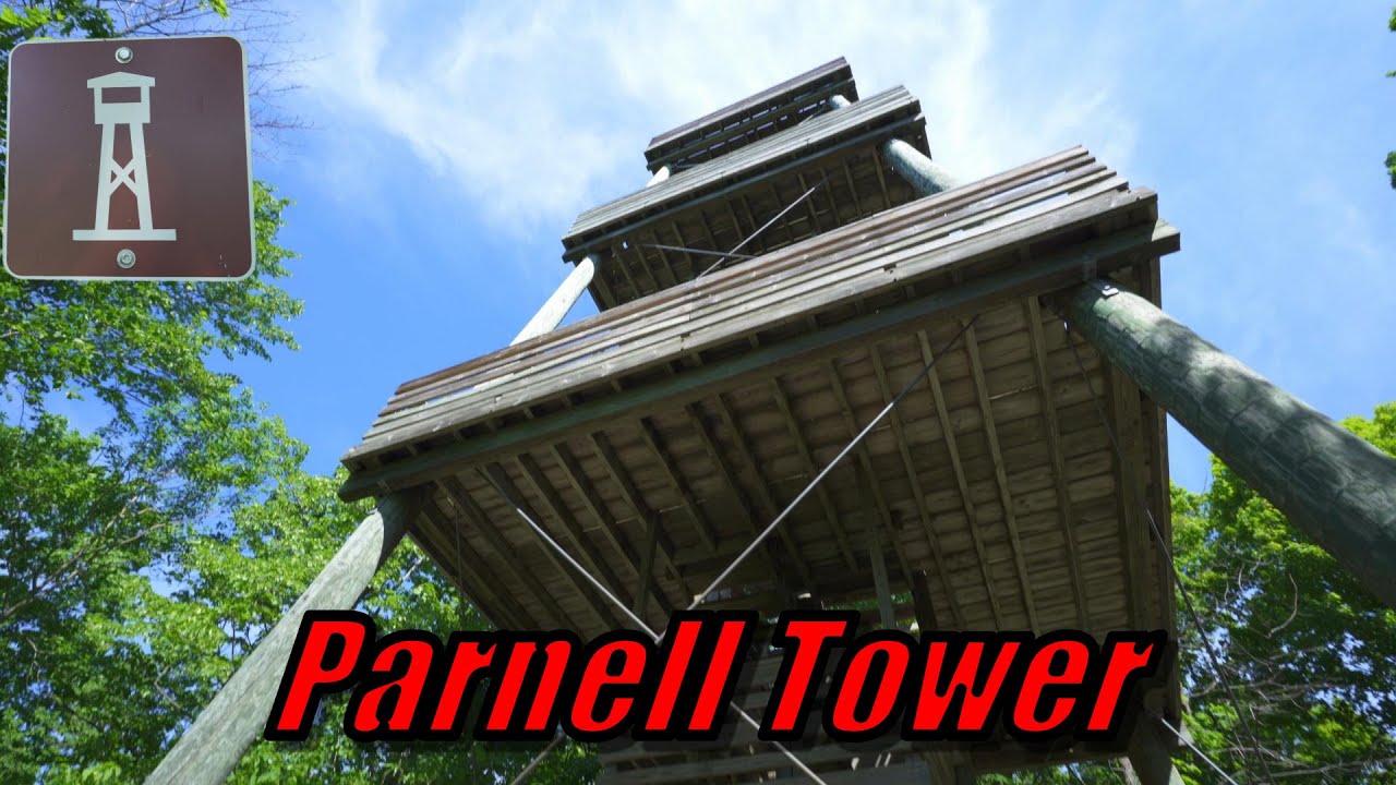 Are Dogs Allowed At Parnell Tower