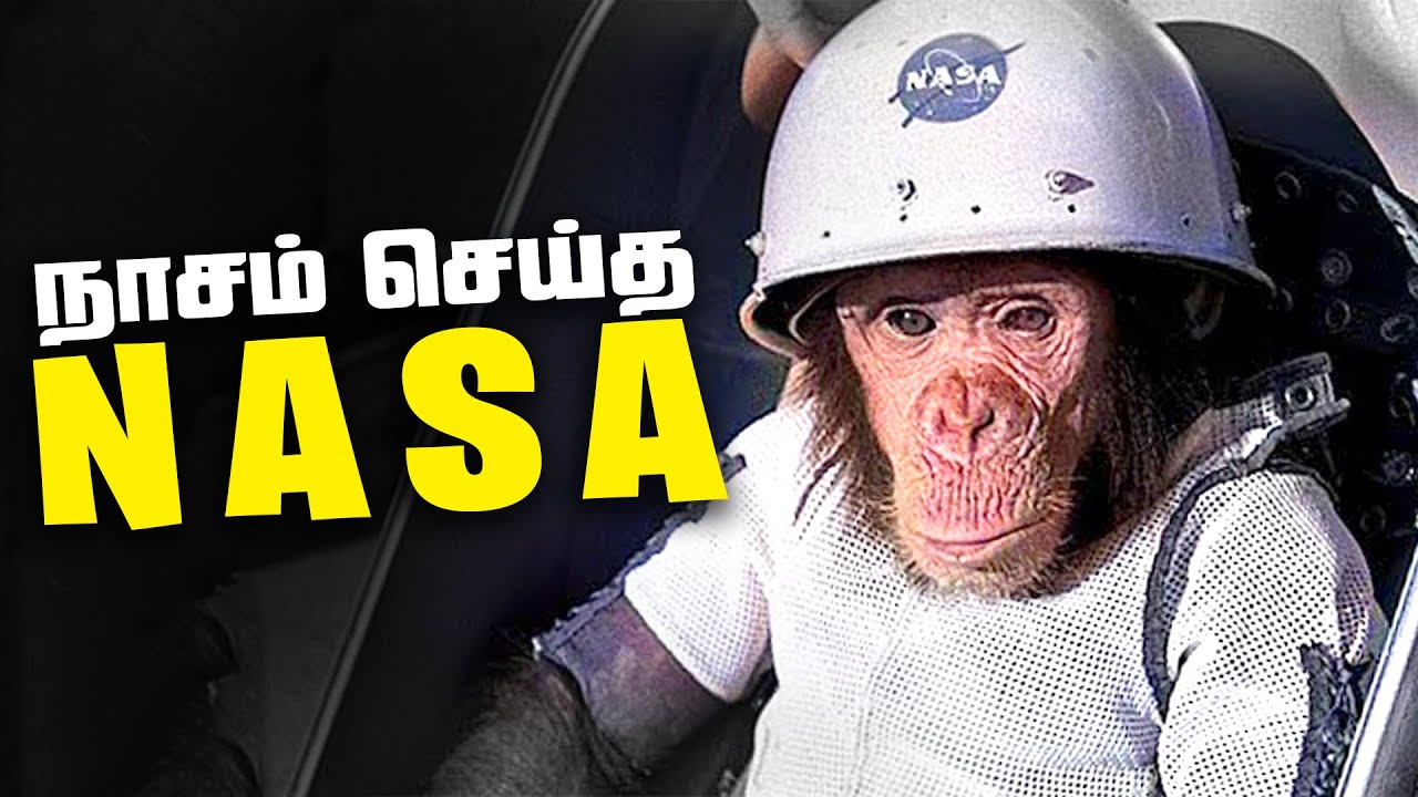 நாசம் செய்த நாசா - Ham the Astro Chimp - YouTube