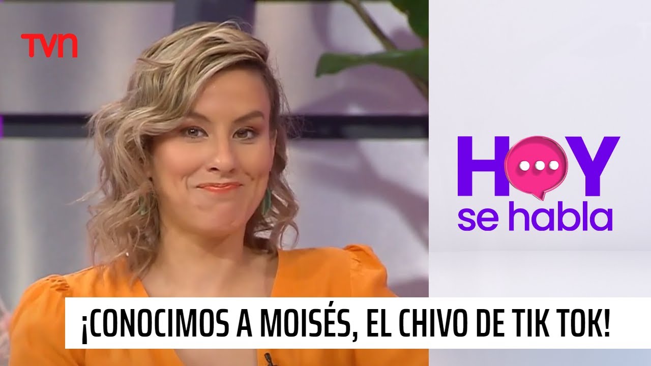 Moisés, el chivo osornino que se convirtió en influencer | Hoy se habla ...