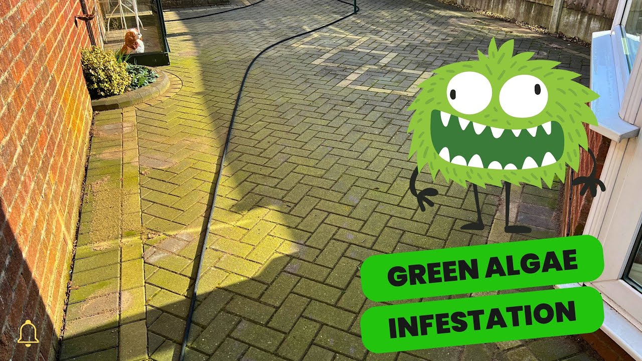 DIRTY GREEN Algae Infested Block Paving Restored to BRAND NEW! Customer ...