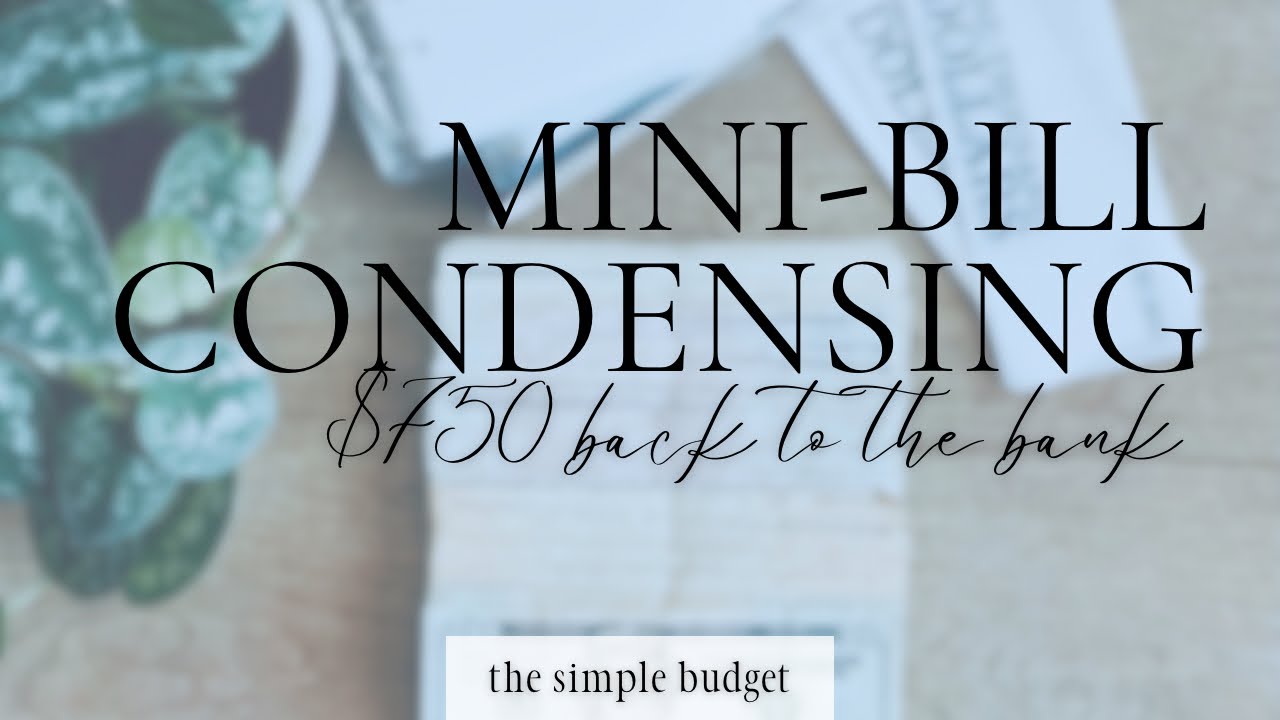 mini bill condensing | $750 back to the bank | cash condensing ...