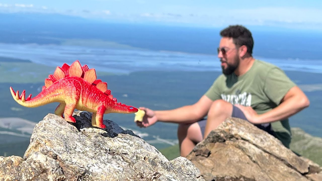 Mount Gordon Lyon - YouTube