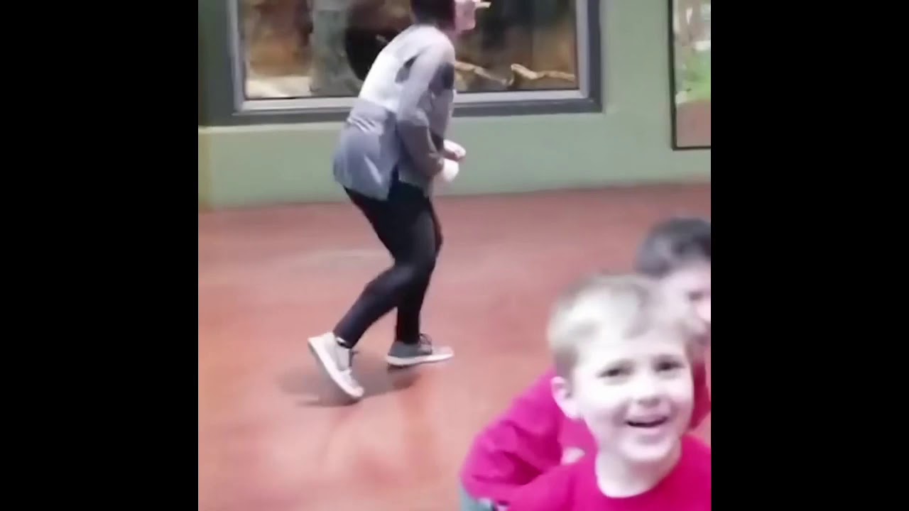 Try Not To Laugh Mega Fails Compilation - YouTube