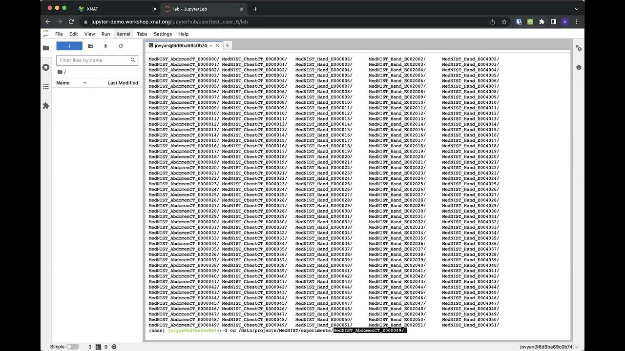 Accessing XNAT Data In Jupyter - YouTube