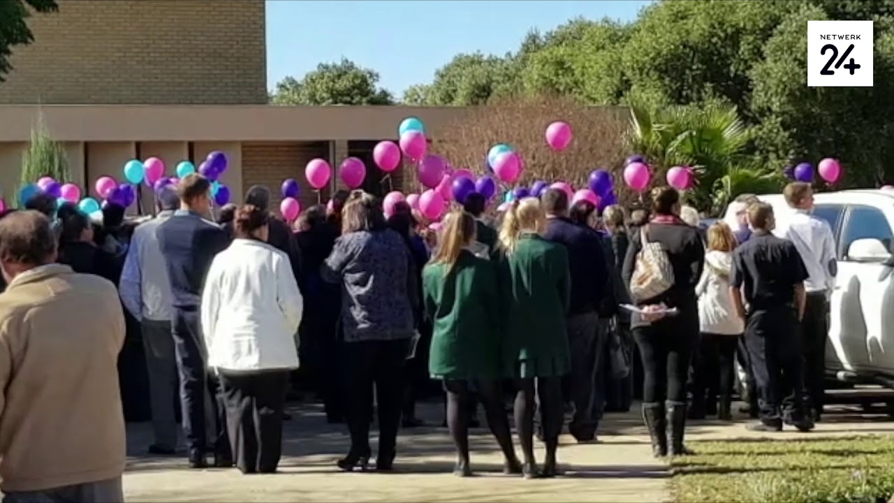 Stella-meisies roudiens - YouTube