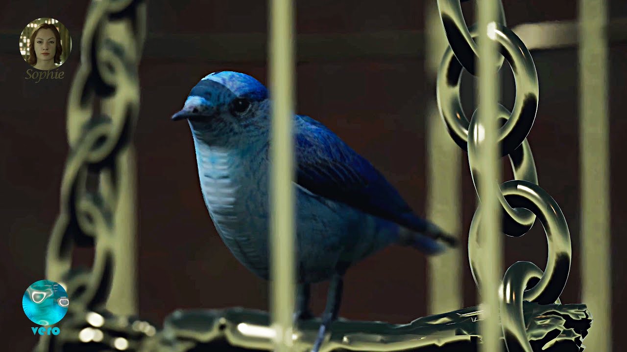 vero - The Bird is freed - YouTube