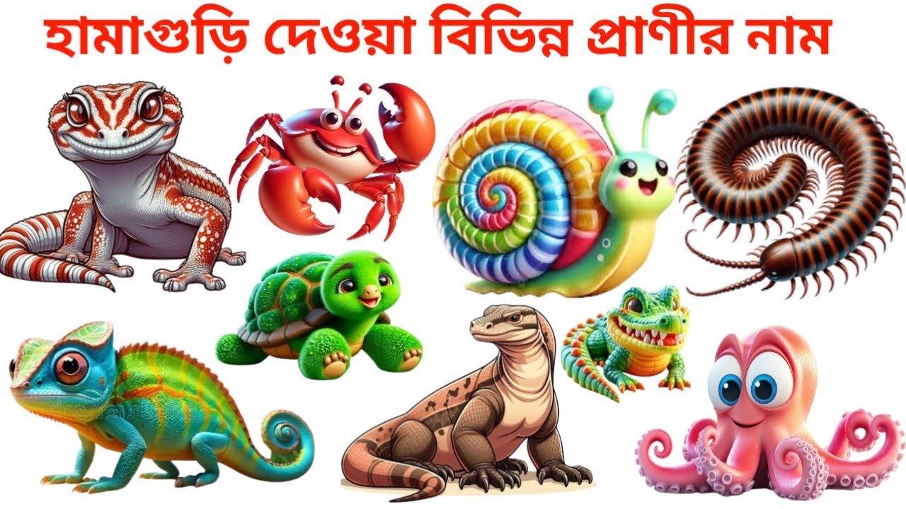 20 Crawling Animals Name in English | Learn Crawling Animals with ...