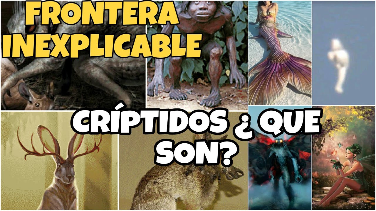 LOS CRÍPTIDOS MÁS CONOCIDOS ¿QUE SON? - YouTube