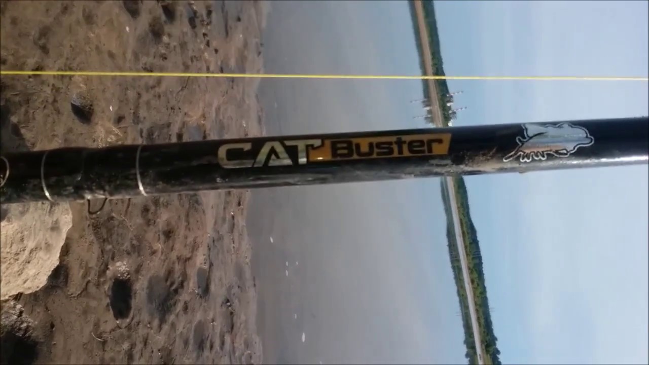 cat buster rod review - YouTube