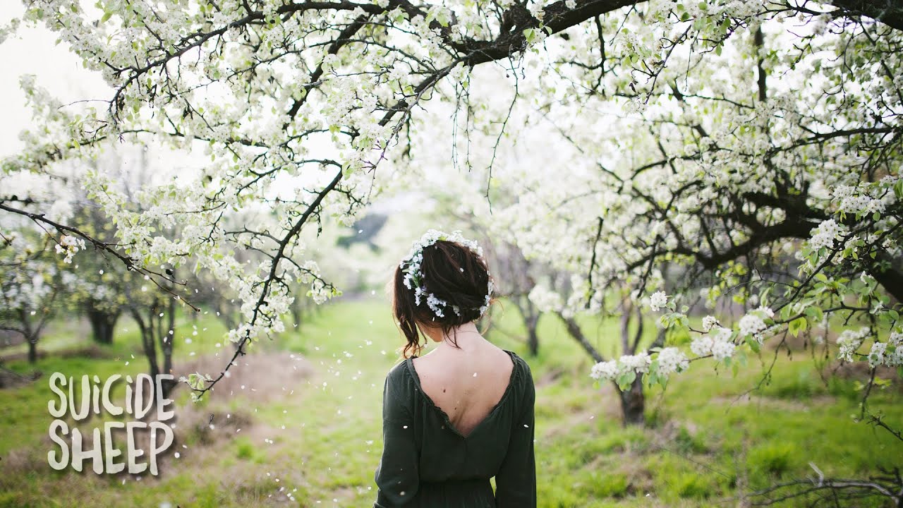 CHINAH - We Go Back - YouTube