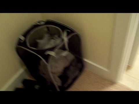 Alex Texas Apartment!