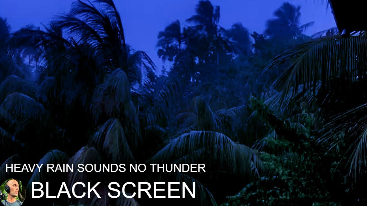 Instant Sleep with Soothing Rain Sounds, Heavy Rain NO THUNDER, BLACK ...