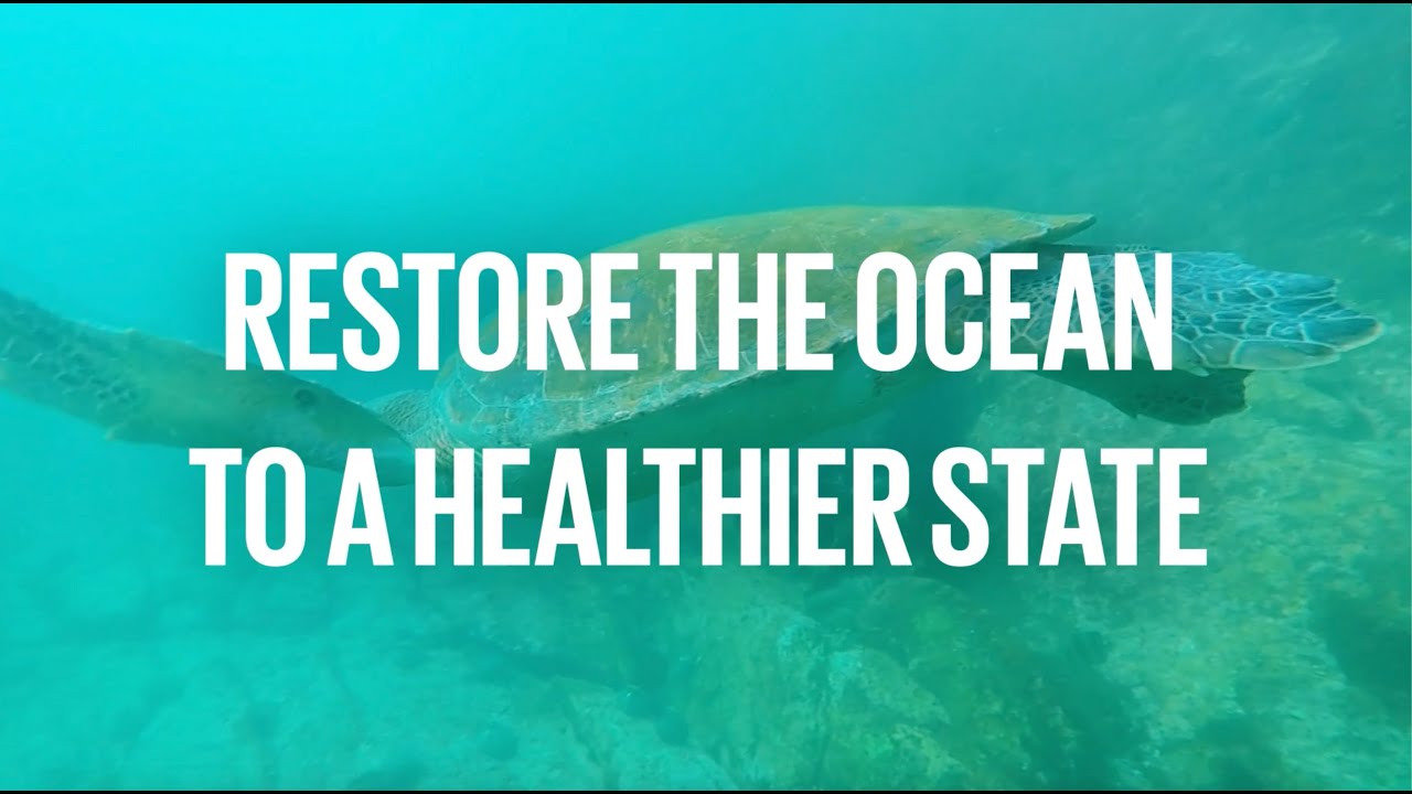 Protect and Restore our Ocean | Global Goals - YouTube