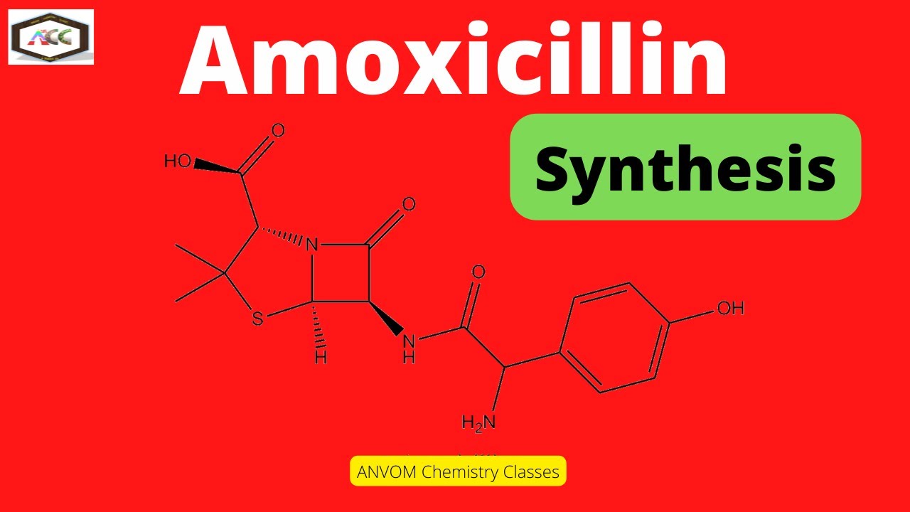 Synthesis of Amoxicillin - YouTube