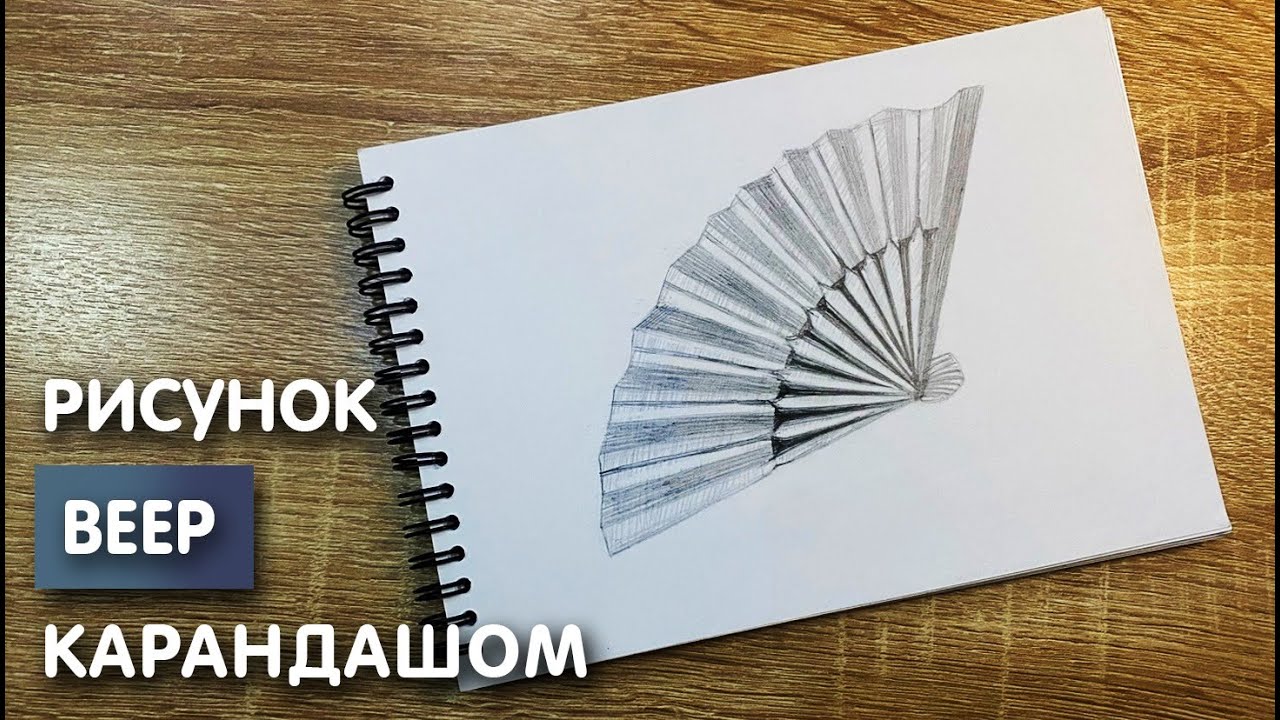 Как нарисовать веер карандашом Рисунок для начинающих поэтапно Youtube