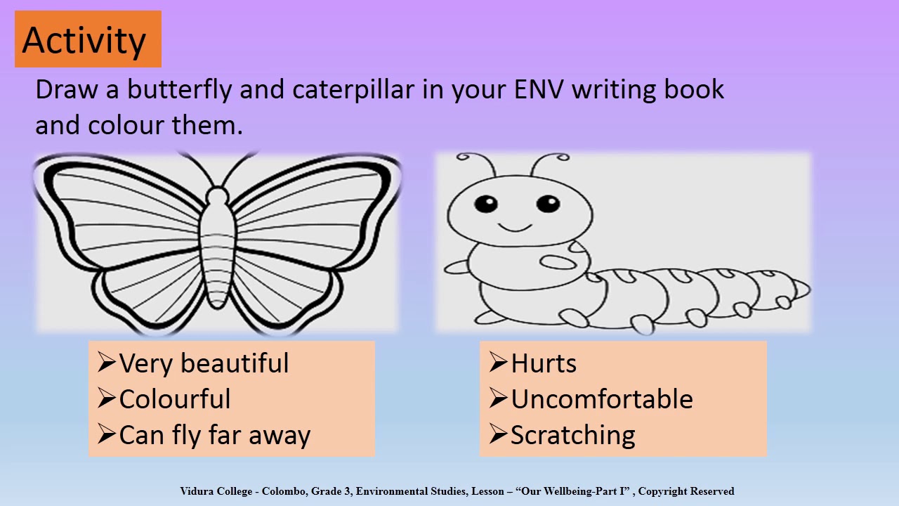 Grade 3 Environmental Studies Our wellbeing Part I - YouTube
