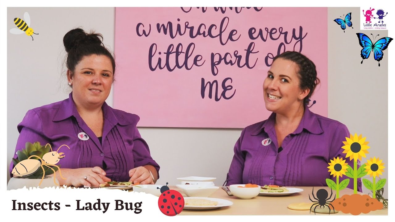 Hometime with Robbie & Susie | Insect Month | Lady Bugs | Education for ...