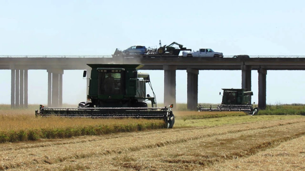 Yolo County Rice Harvest - YouTube