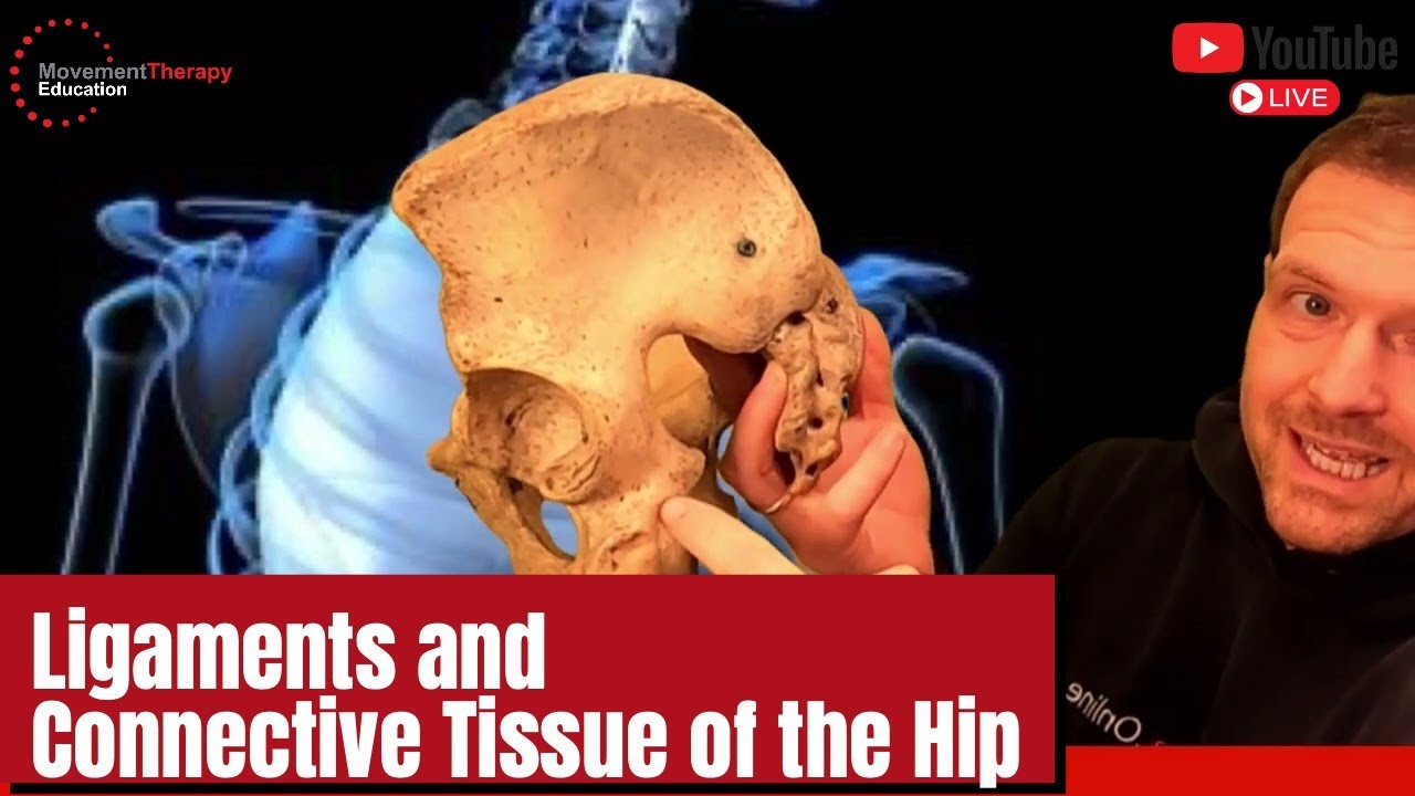 What Your Body REALLY looks like: Hip Connective Tissue & Ligaments ...