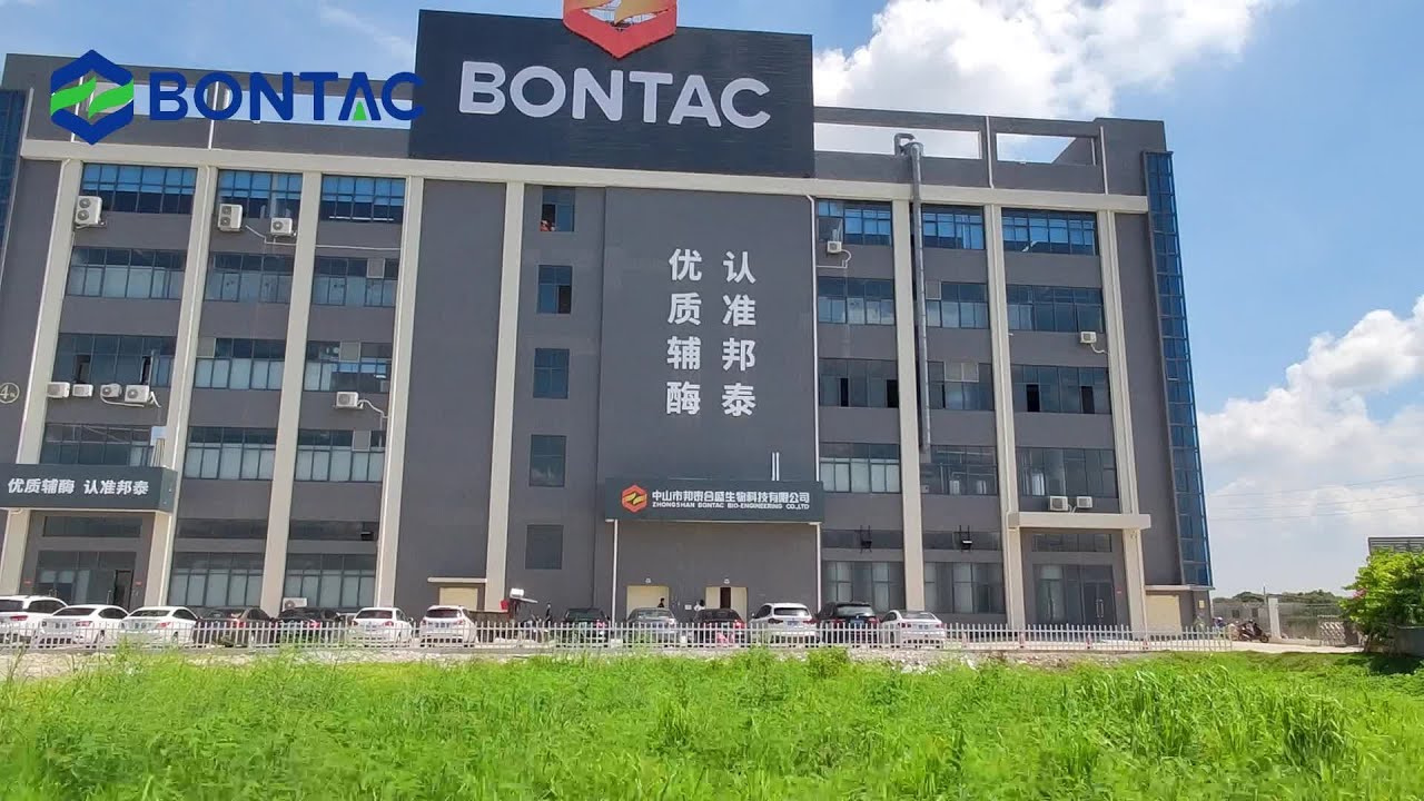 Stevia Sweetener (Reb D): adding natural sweetness to your products ...