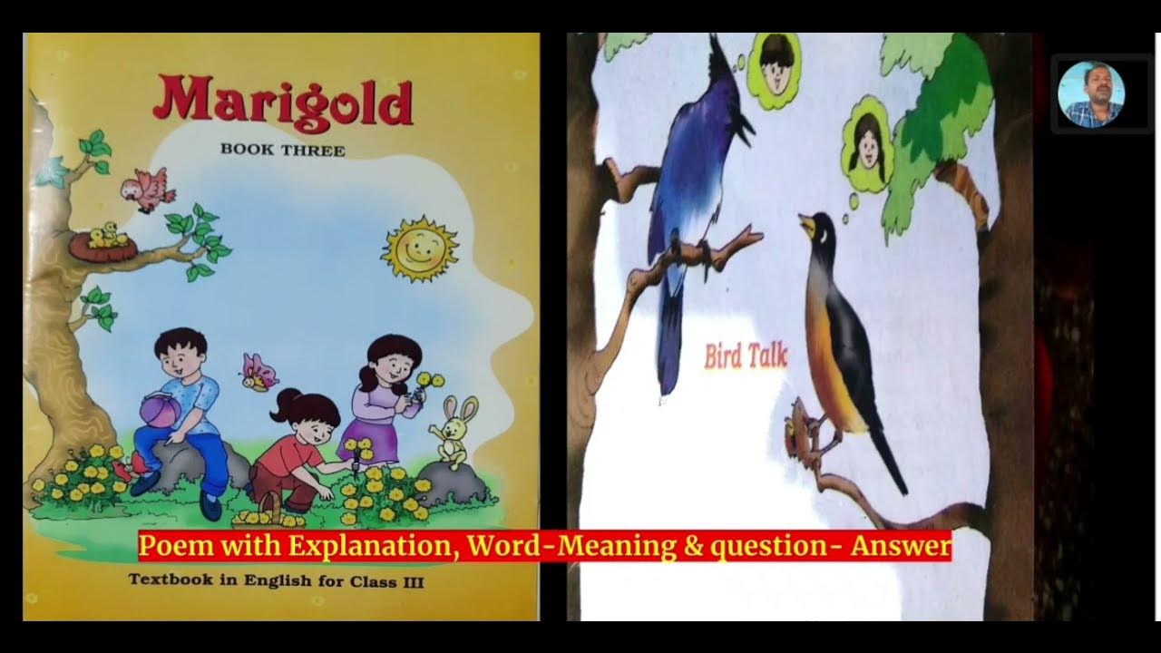 Bird Talk Class 3 NCERT Explanation Word Meaning Question Anaswer bird-talk-class-3-ncert-explanation-word-meaning-question-anaswer