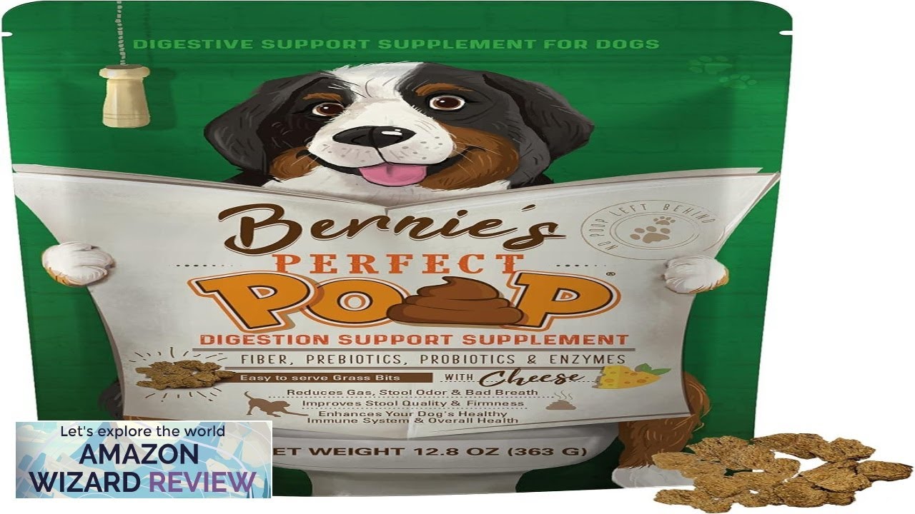 Perfect Poop Digestion & General Health Supplement for Dogs: Fiber ...