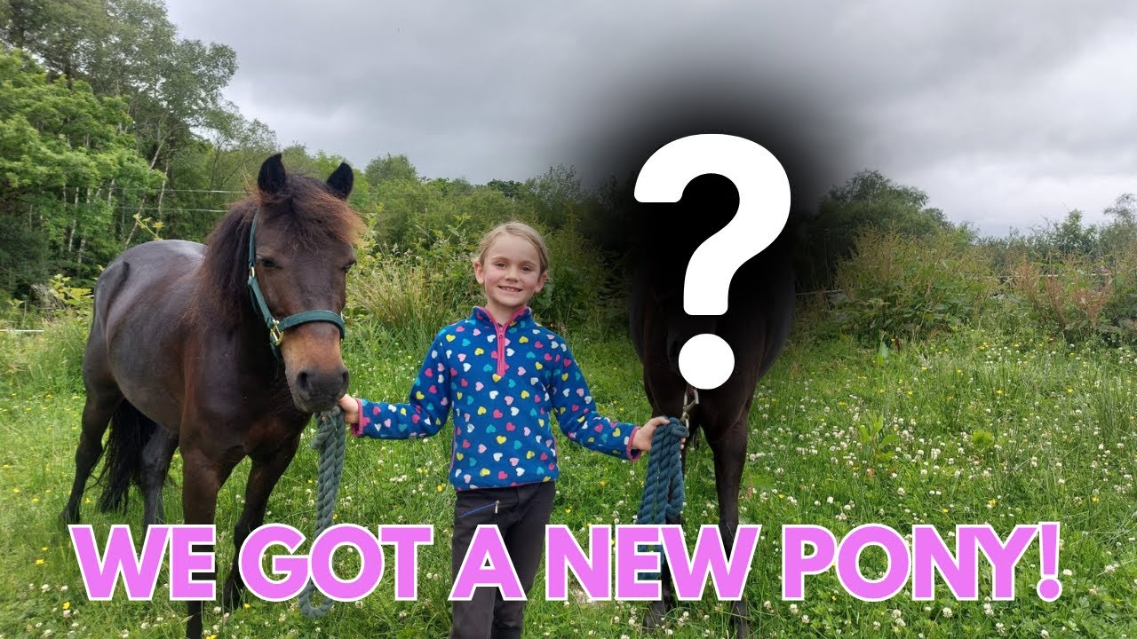 MEET OUR NEW PONY! - YouTube