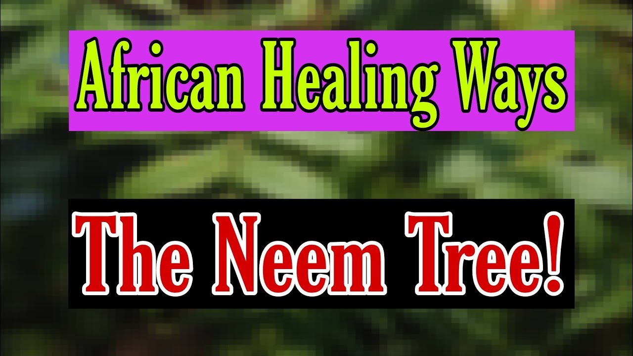 African Healing Ways: The Neem Tree - YouTube