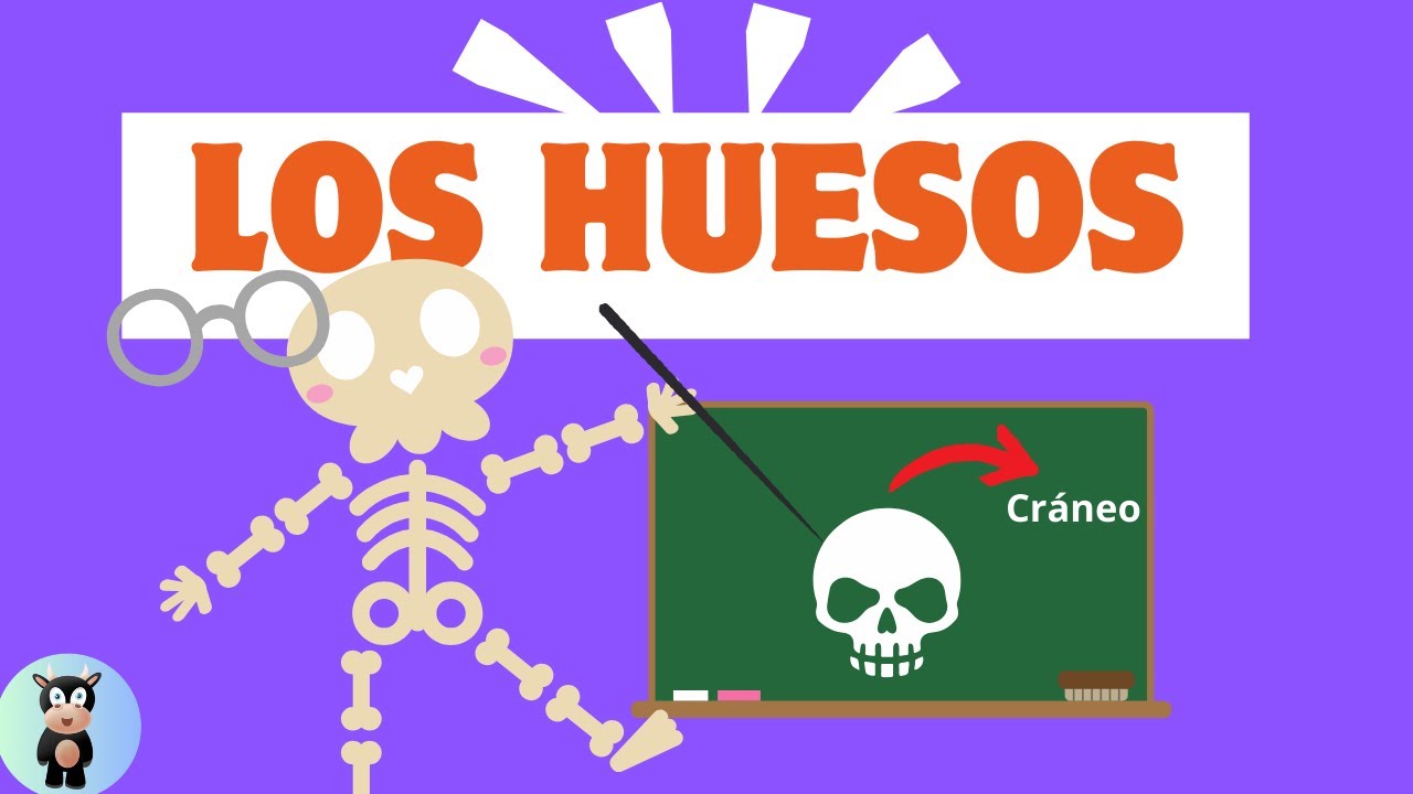 ¡Vamos a aprender los huesos de nuestro cuerpo con Tito el Torito ...
