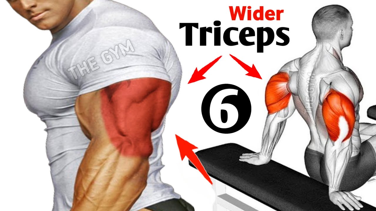 6 Exercises Get Wider Triceps Workout At Gym - YouTube