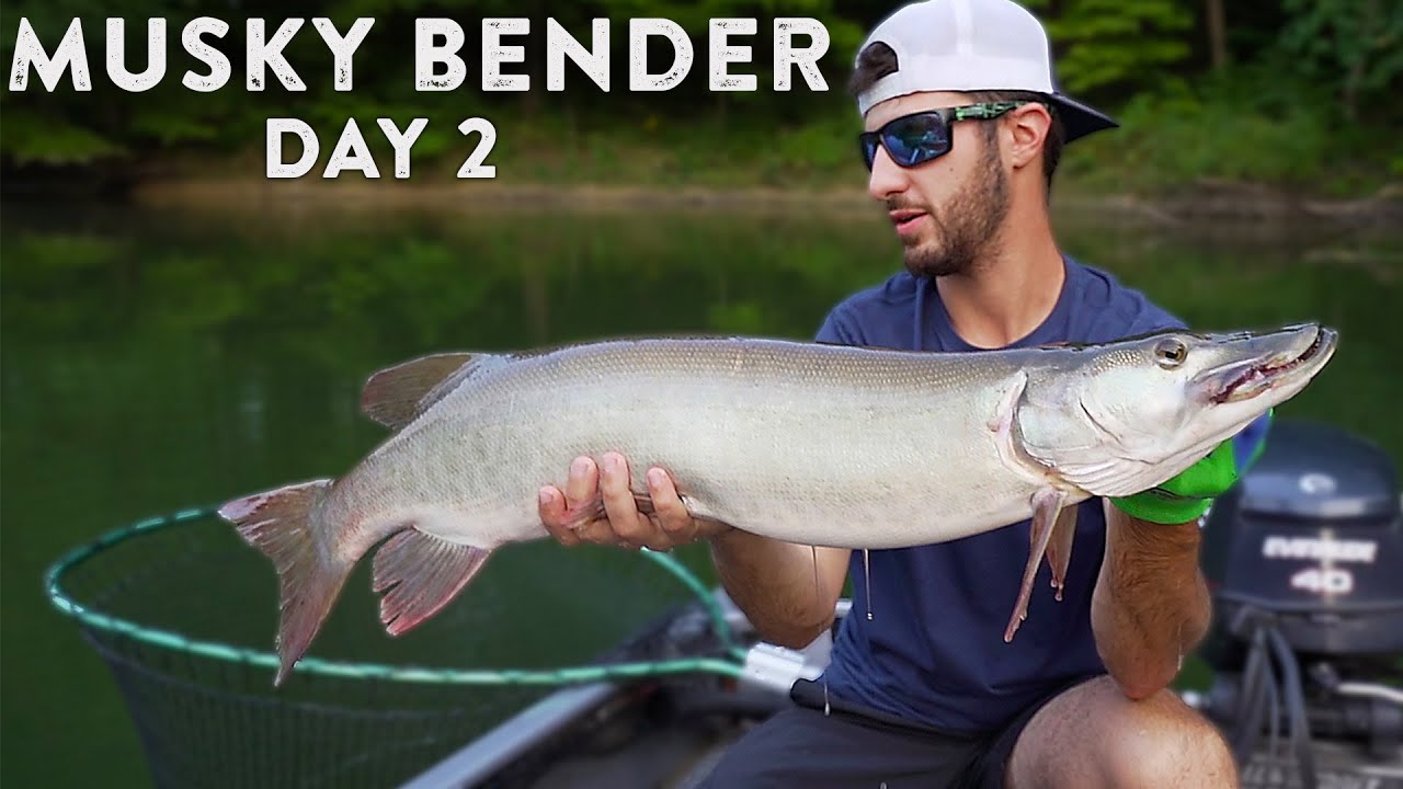 2 Musky in 1hr SHALLOW MAYHEM Musky BENDER Day 2 - YouTube